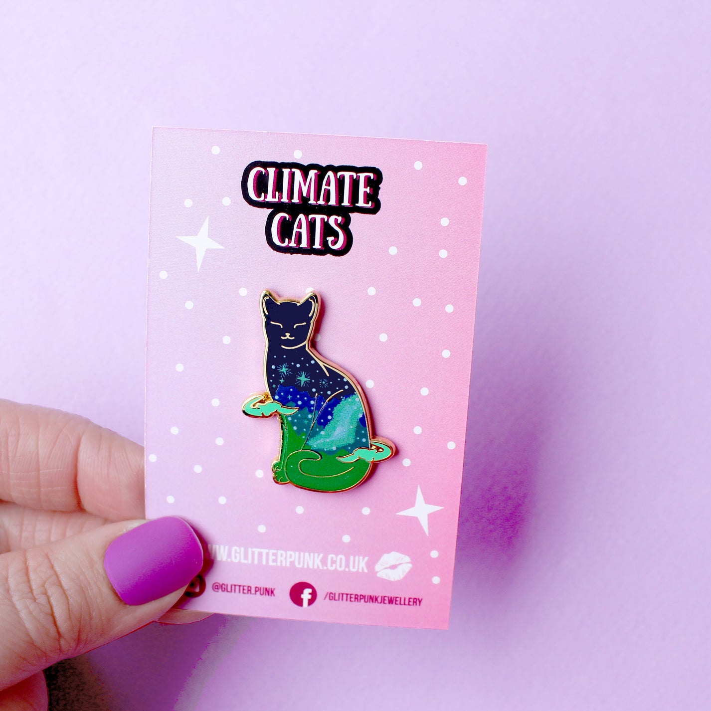 Northern Light Cat Enamel Pin - Climate Cats – Glitter Punk
